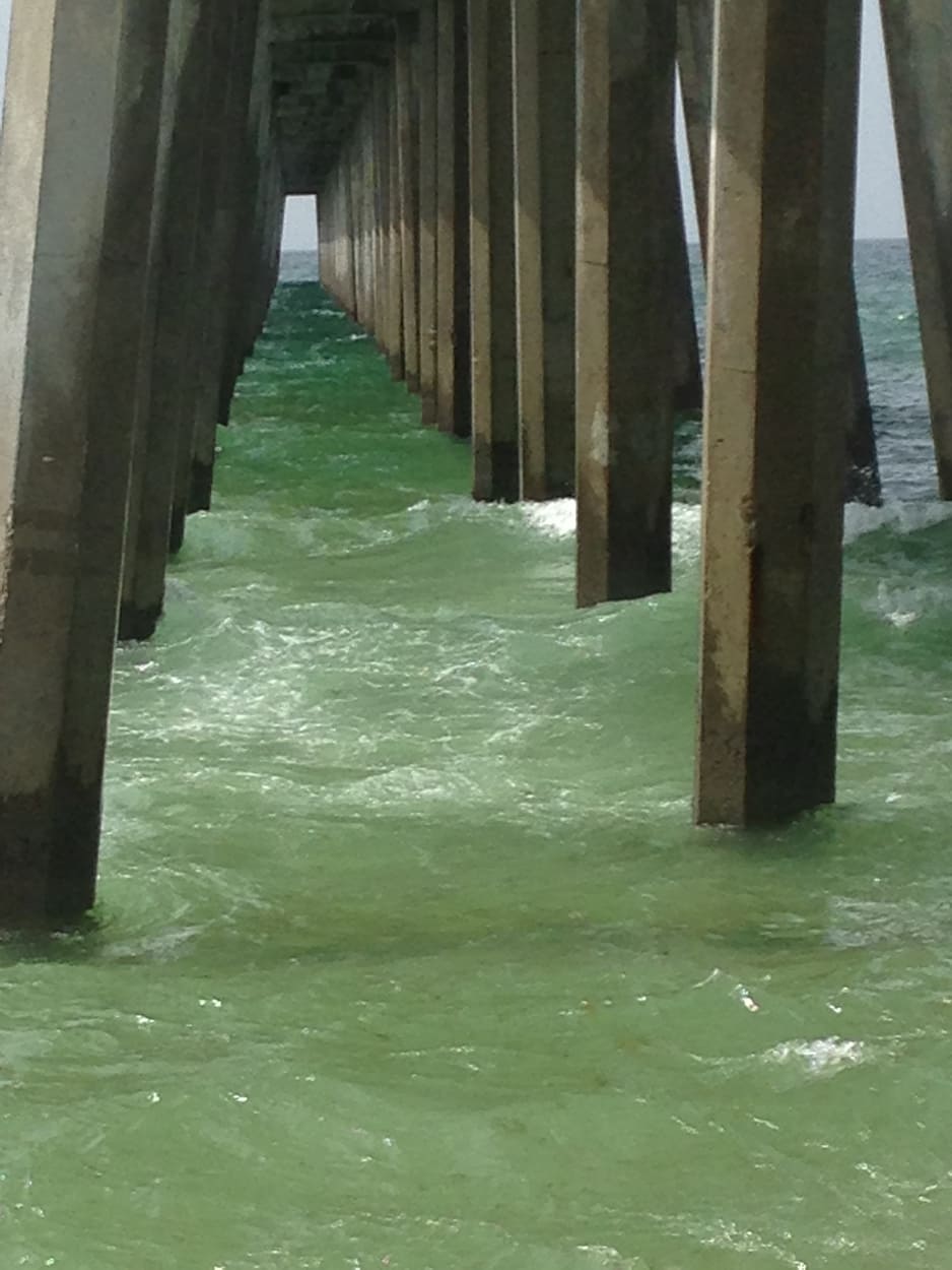 Life Coaching - vitalogy.com